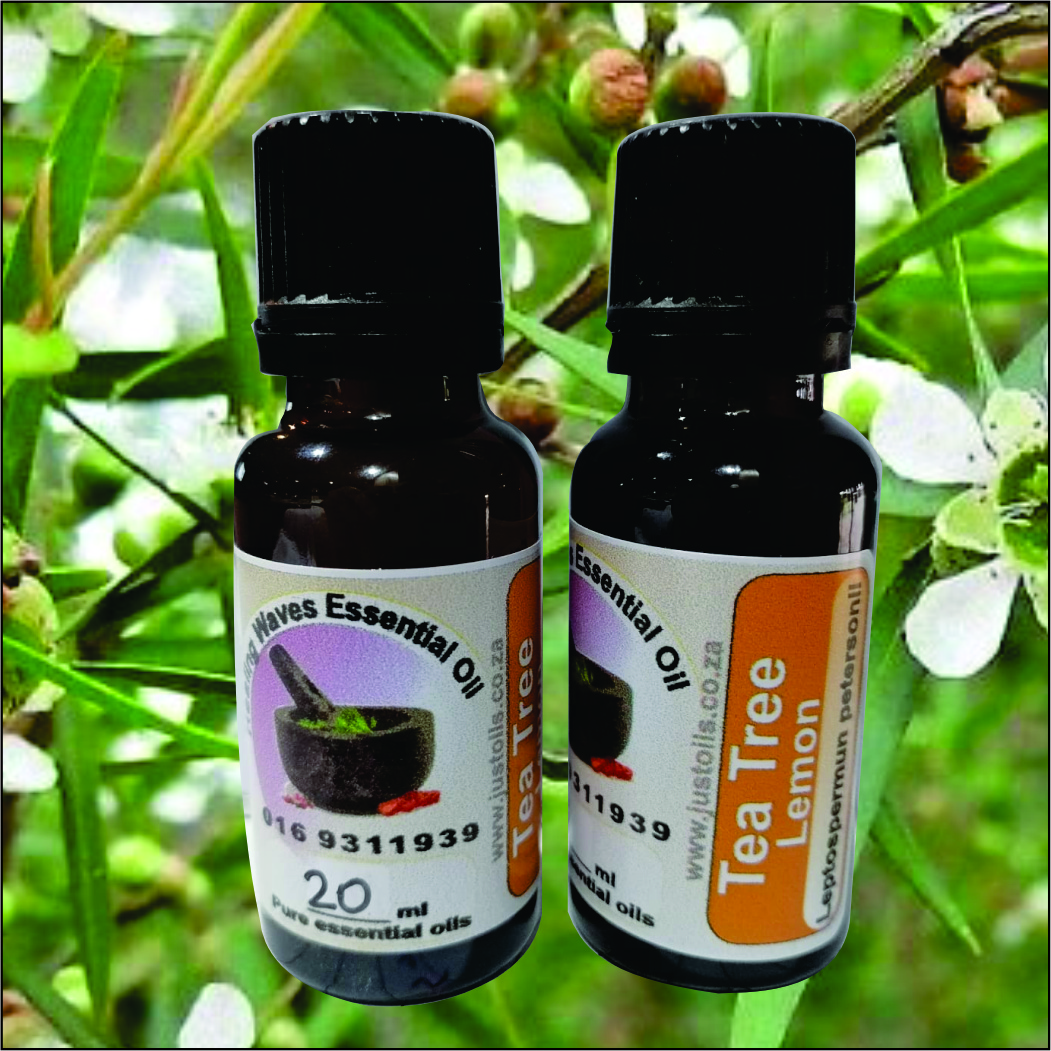 Tea Tree Lemon – Healing Waves Essential Oil